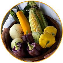 The Science– Indic Roots (Formerly Organic Roots)